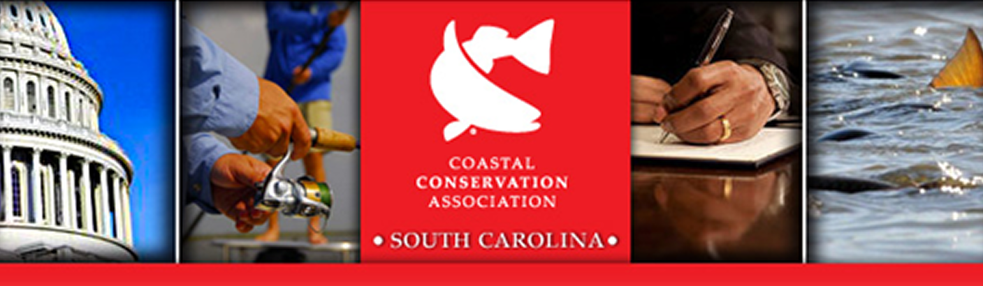 CCA South Carolina applauds measure to strengthen Red Drum conservation ...